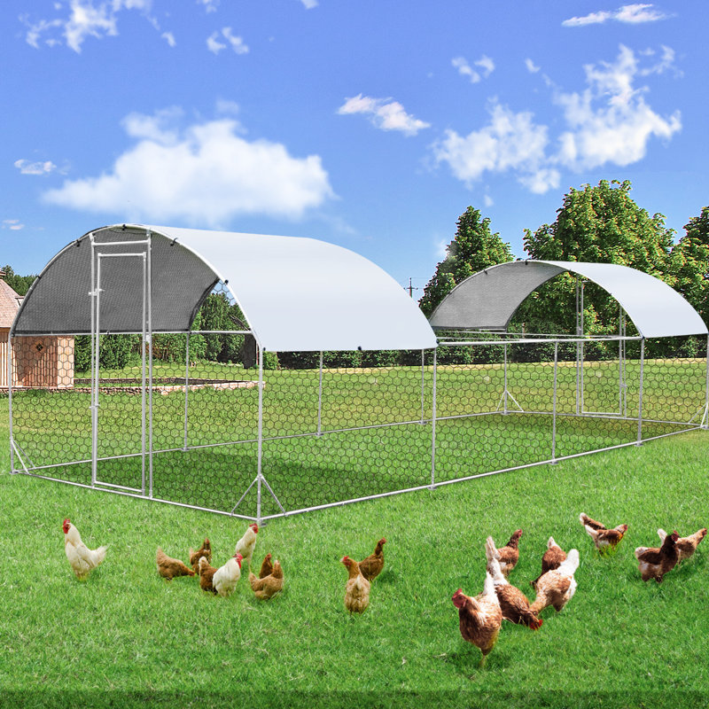 Tucker Murphy Pet™ Deryan 196 Square Feet Walk In Chicken Run For Up To ...