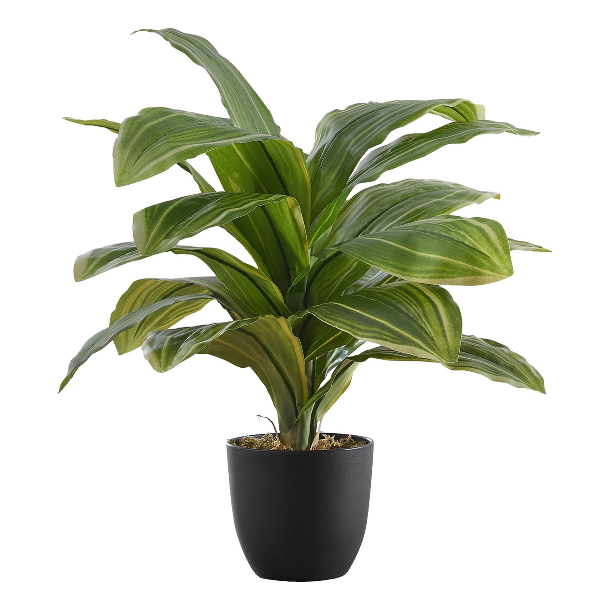 Ebern Designs Plante artificielle, 17 po de hauteur, Dracaena ...