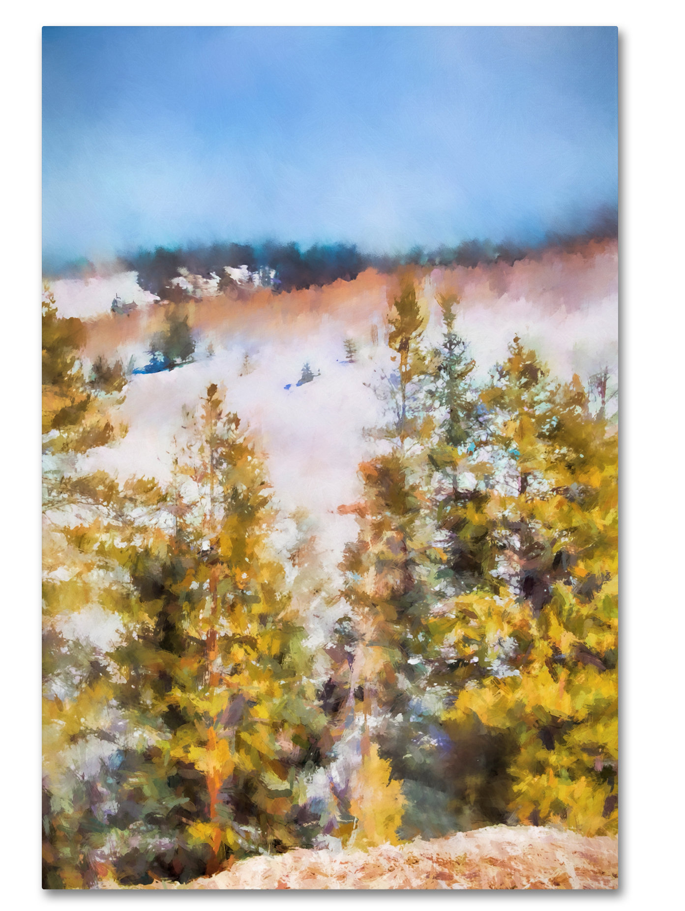 Millwood Pines Vidur 'Colorado Color Splash 1' Print on Wrapped Canvas ...