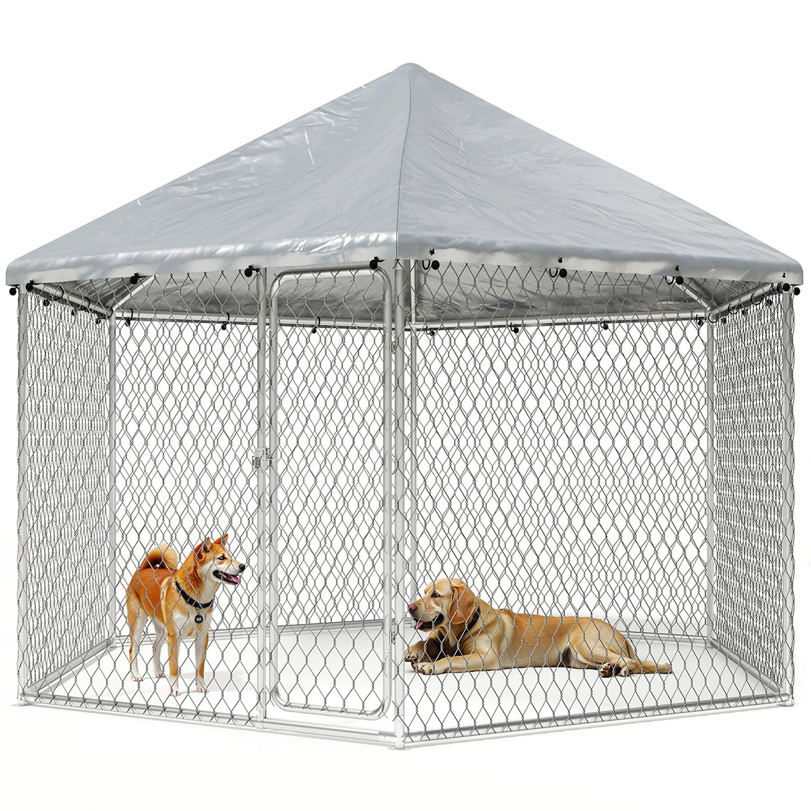 Tucker Murphy Pet™ Outdoor Large Kennel, Stainless Steel Hexagonal ...