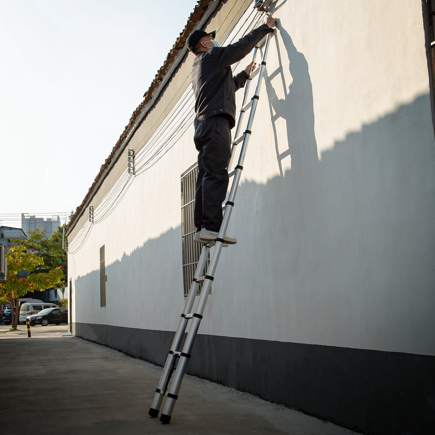 WFX Utility™ Jacksonview 11 - Step Aluminum Lightweight Extension ...