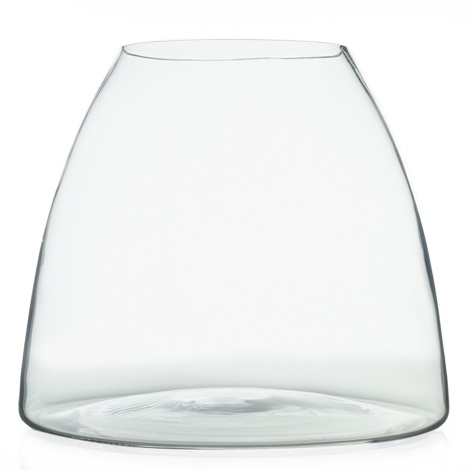 Birch Lane™ Moura Jumbo Glass Terrarium - Wayfair Canada