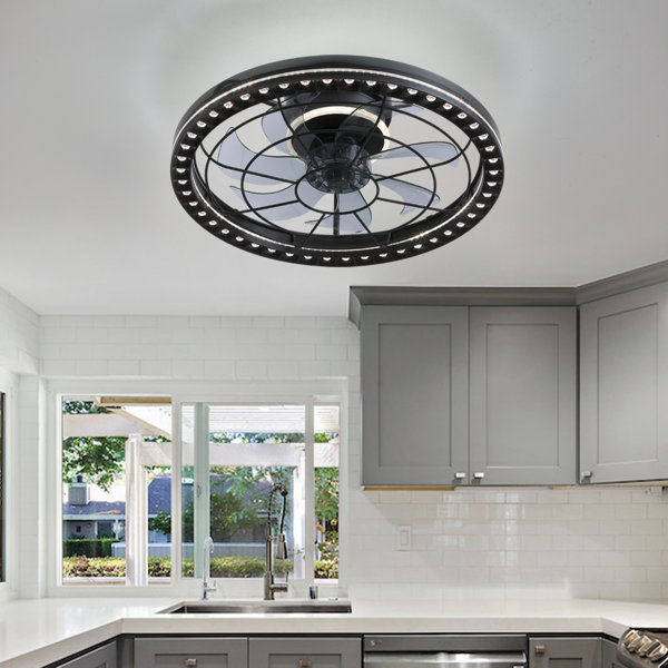 Wrought Studio™ 19'' Dimmable Caged Ceiling Fan with LED Lights ...