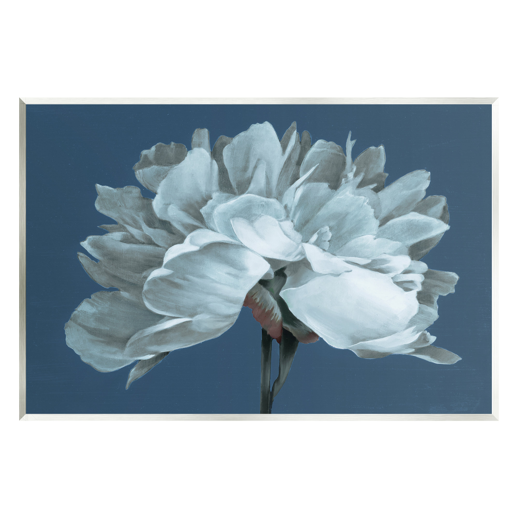 Stupell Industries Contemporary White Bloom Single Flower Sprig by Liz ...