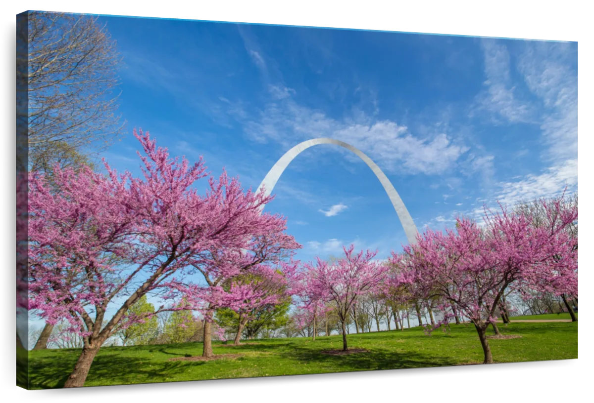 Lark Manor™ Harnek Gateway Arch Cherry Blossoms | Wayfair