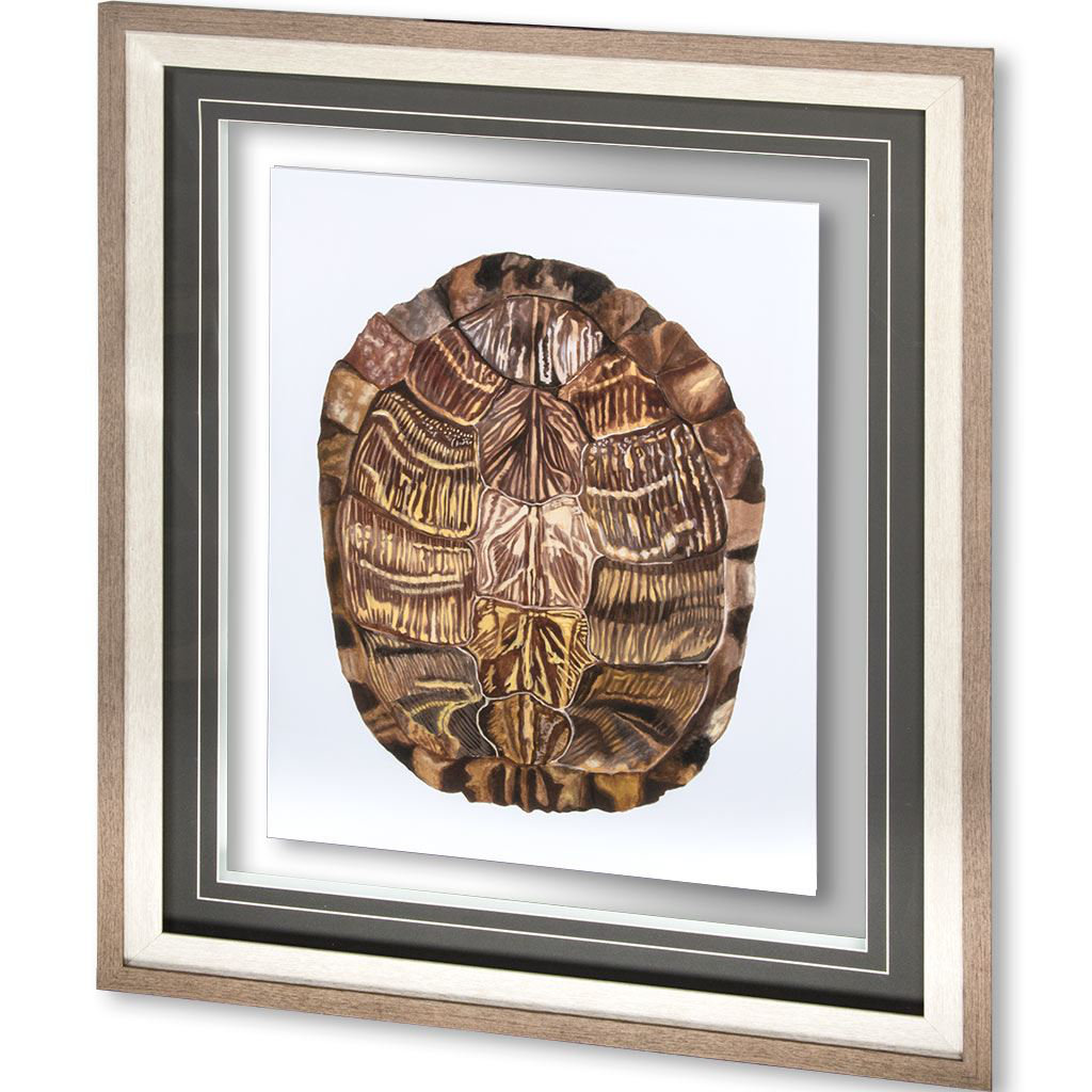 Bayou Breeze Tortoise Shell Detail I | Wayfair