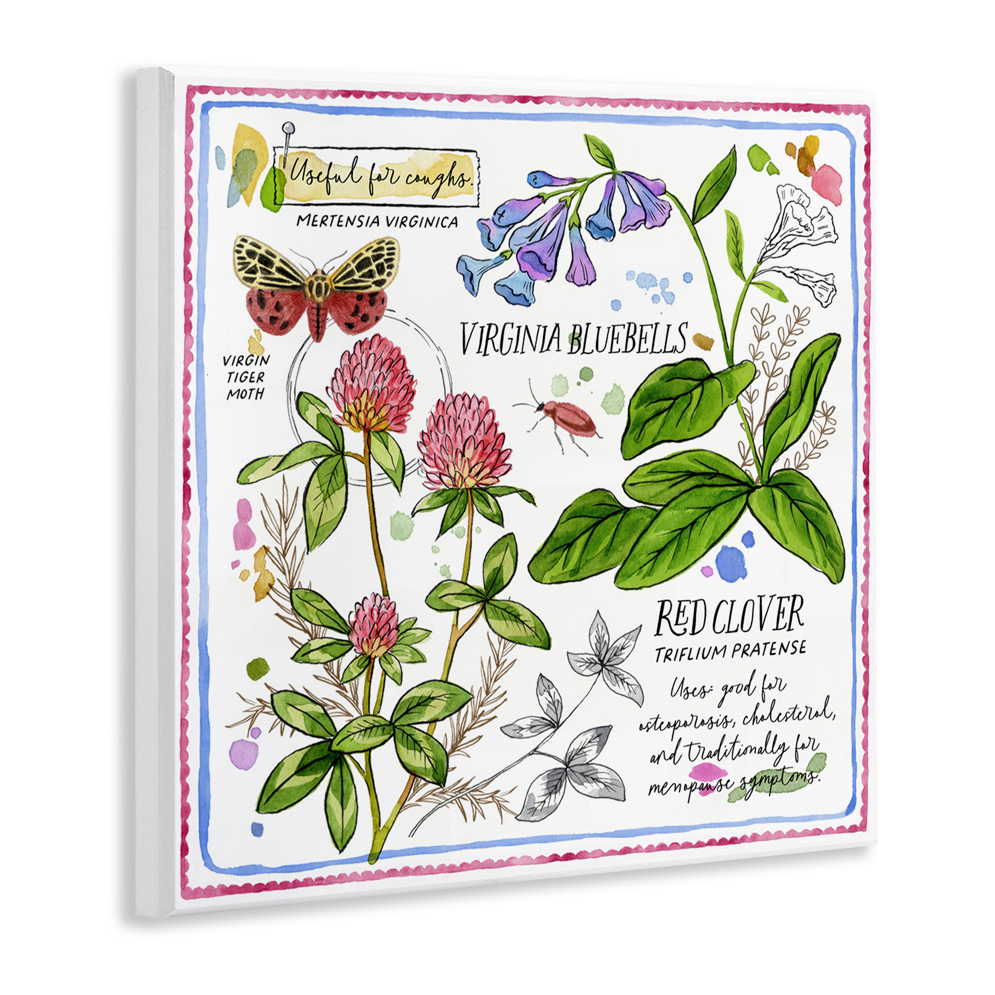 Ophelia & Co. Wild Herbs Diagram Wall Plaque Art by Jane Maday ...