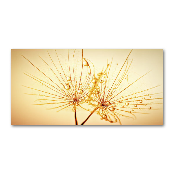 Brayden Studio Dandelion Seeds - Wrapped Canvas Art Prints | Wayfair.co.uk