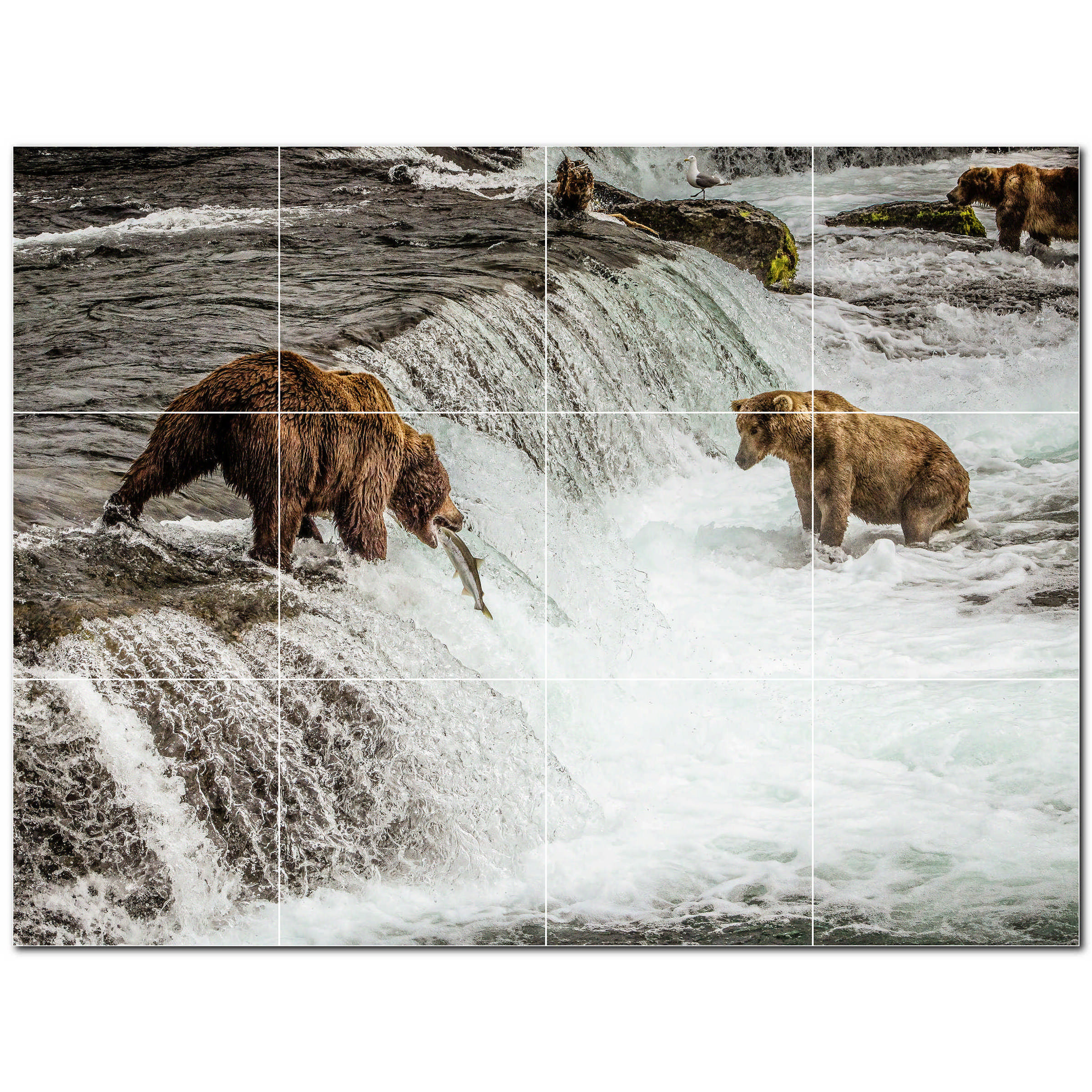 Picture-Tiles.com Bear Photo 12'' x 12'' Satin Ceramic Decorative Mural ...