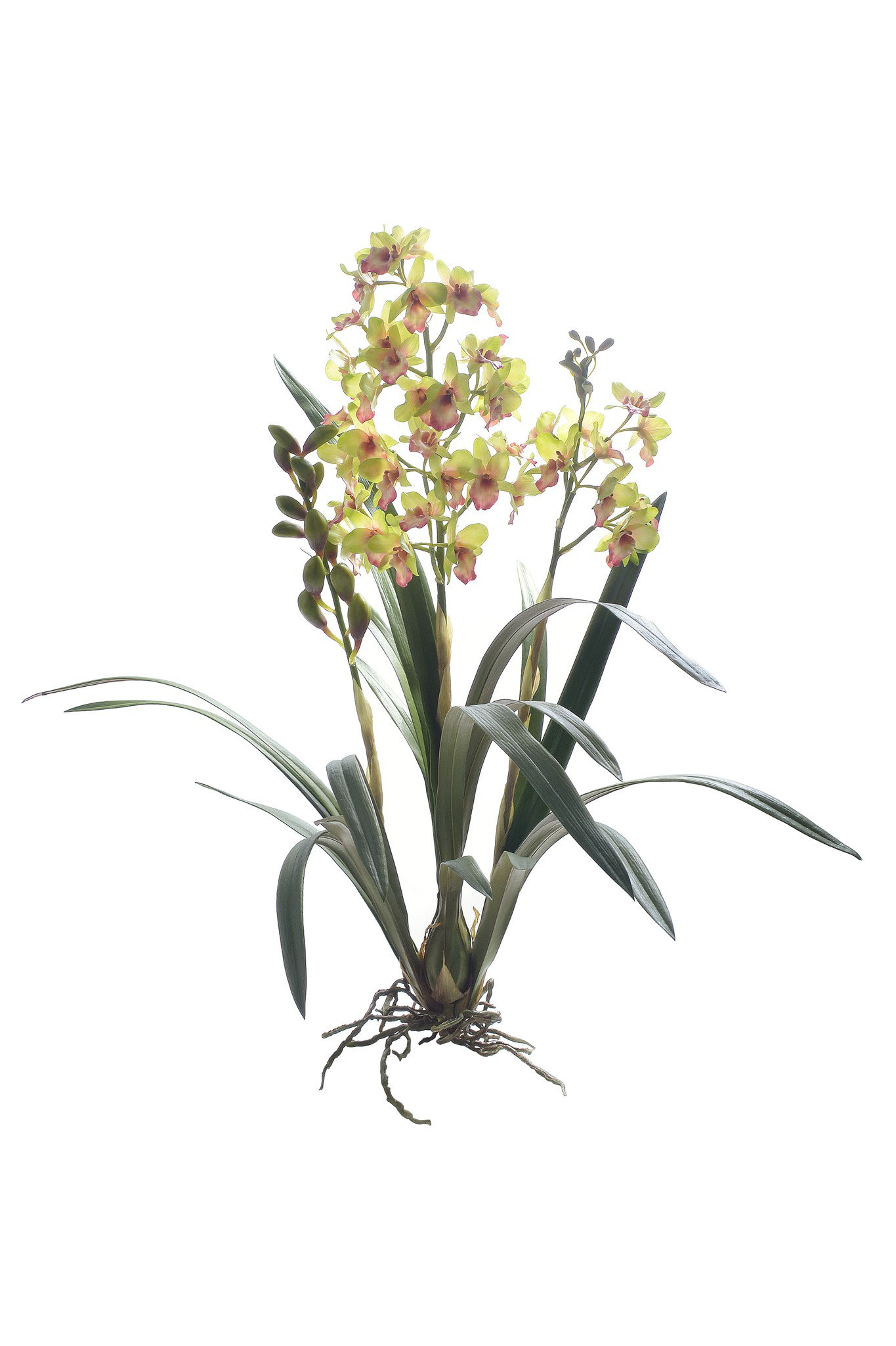 Winward Silks DENDROBIUM ORCHID STEM | Perigold