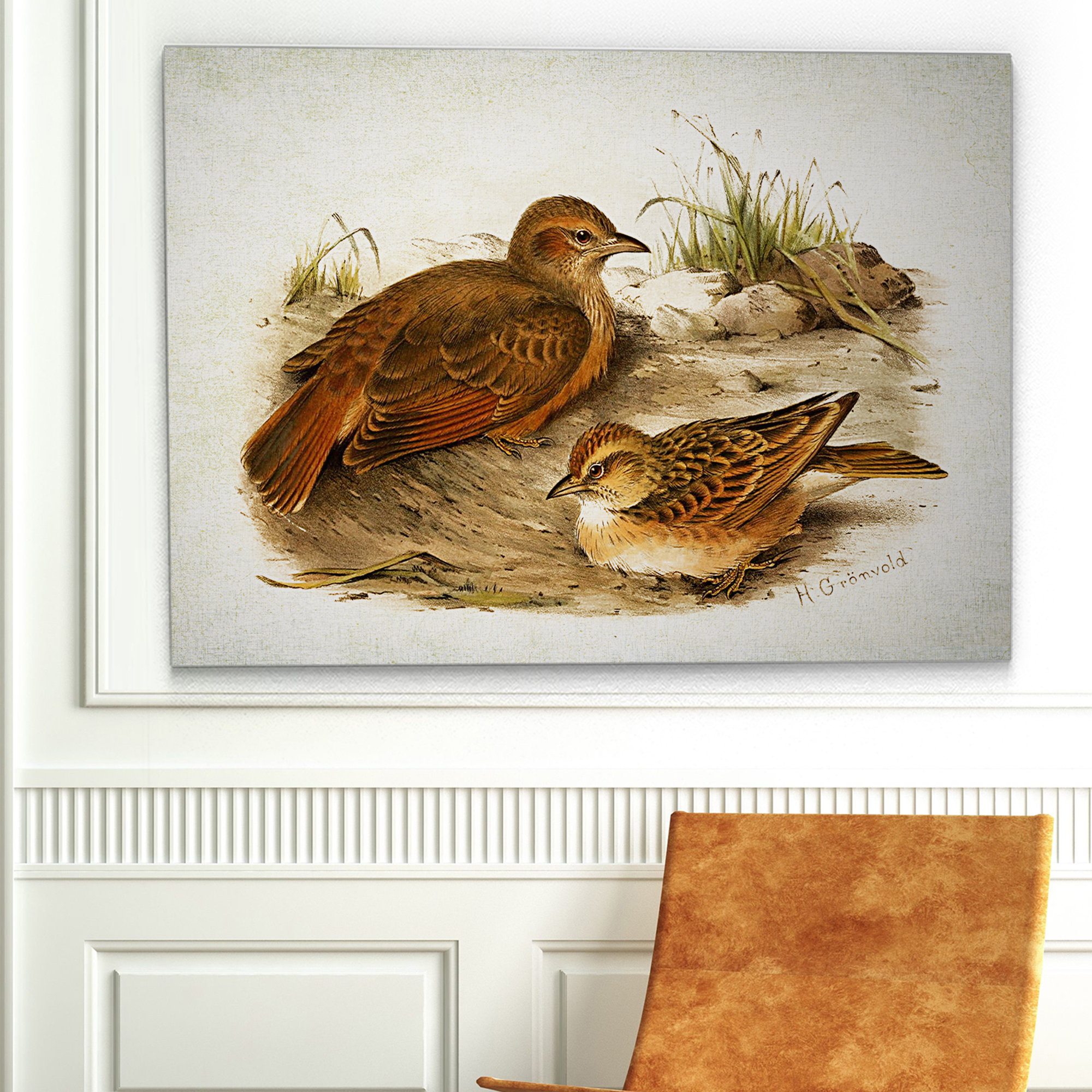 Alcott Hill 'Aviary Drawing I' Print - Wayfair Canada