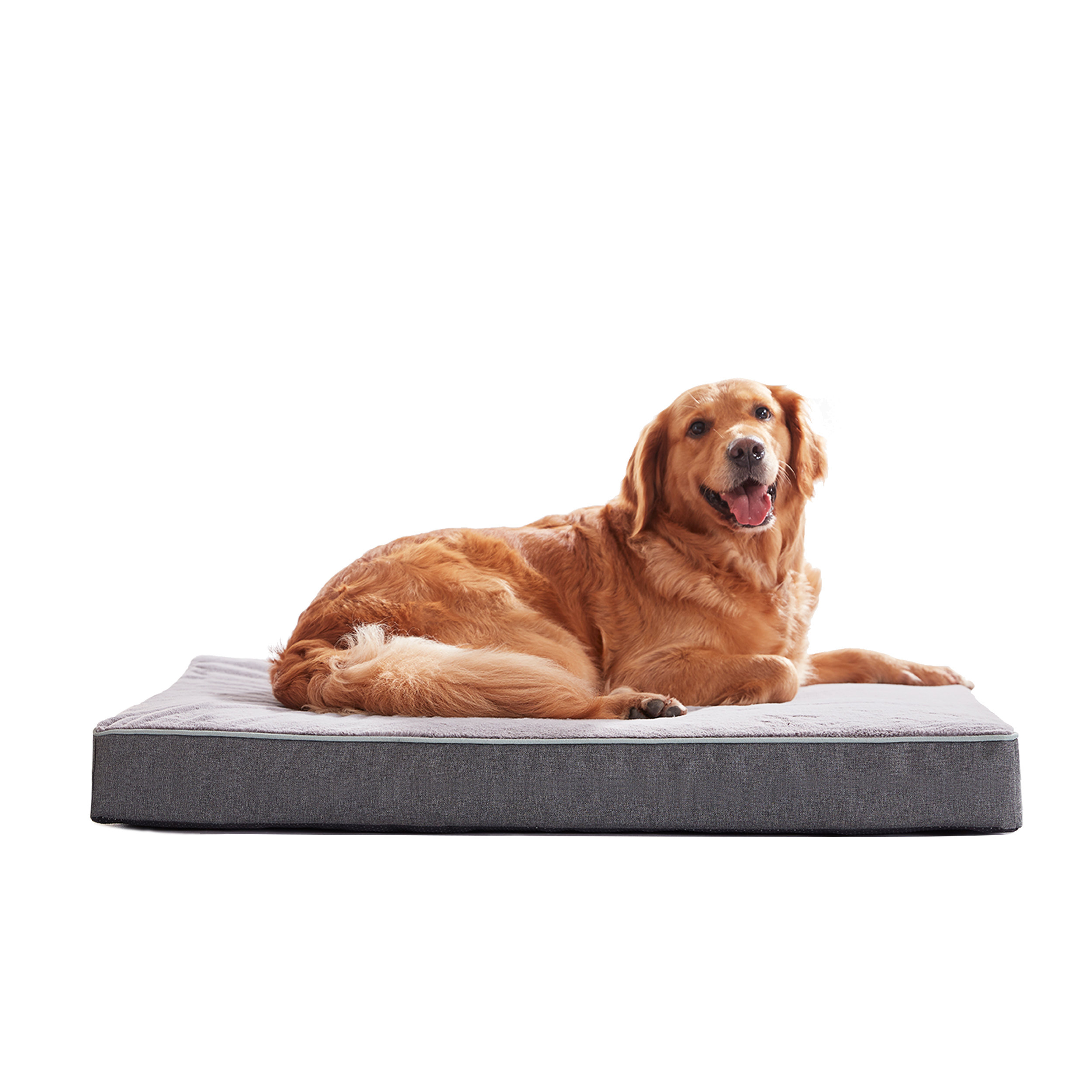 Tucker Murphy Pet™ Orthopedic Memory Foam Dog Bed, Anti Anxiety Bed For ...