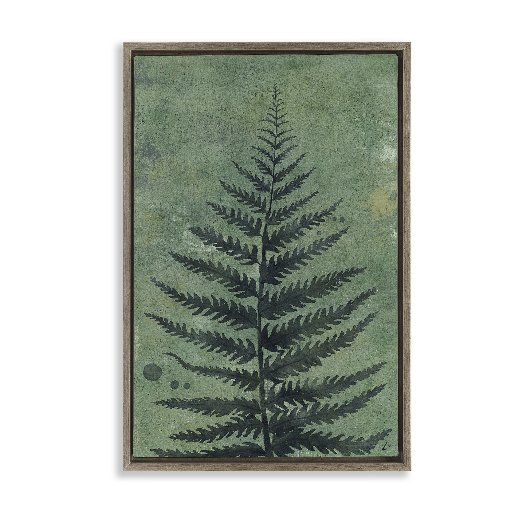 Winston Porter Rustic Fern Impression Canvas by Lydia Orange | Wayfair