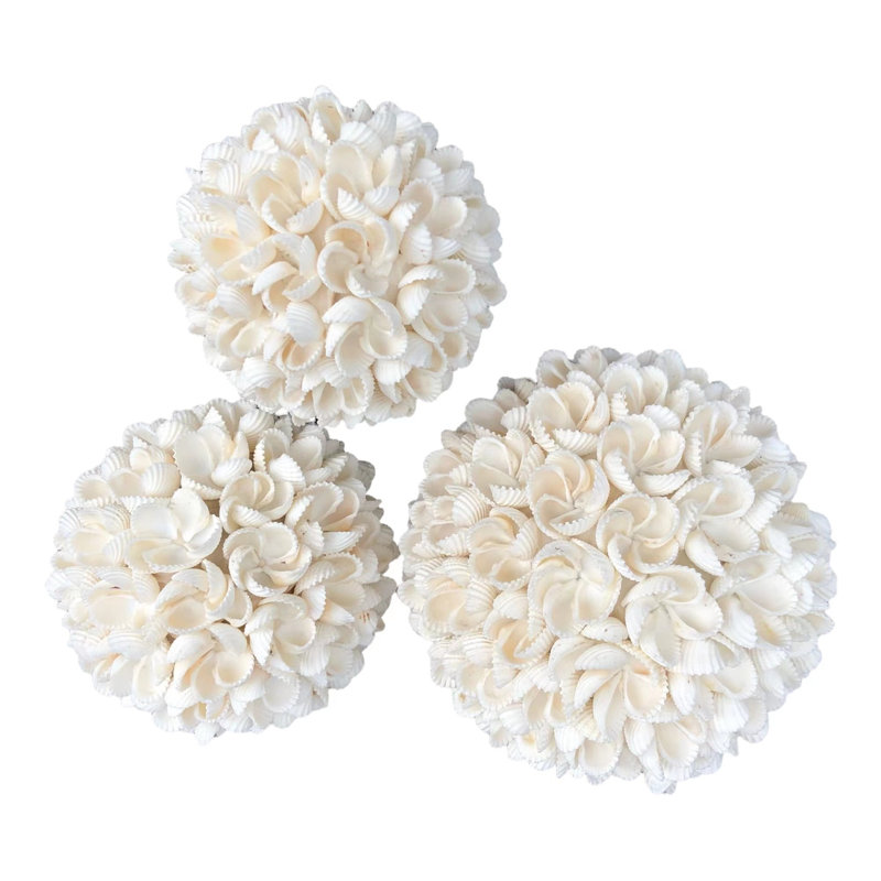 Red Barrel Studio® Everth 3 Piece Shell Balls Sculpture Set | Wayfair