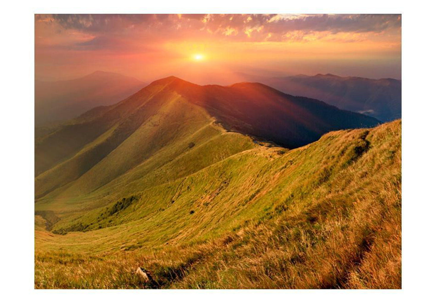 Loon Peak® Darkash Beautiful Autumn Landscape, Carpathians Wall Mural ...