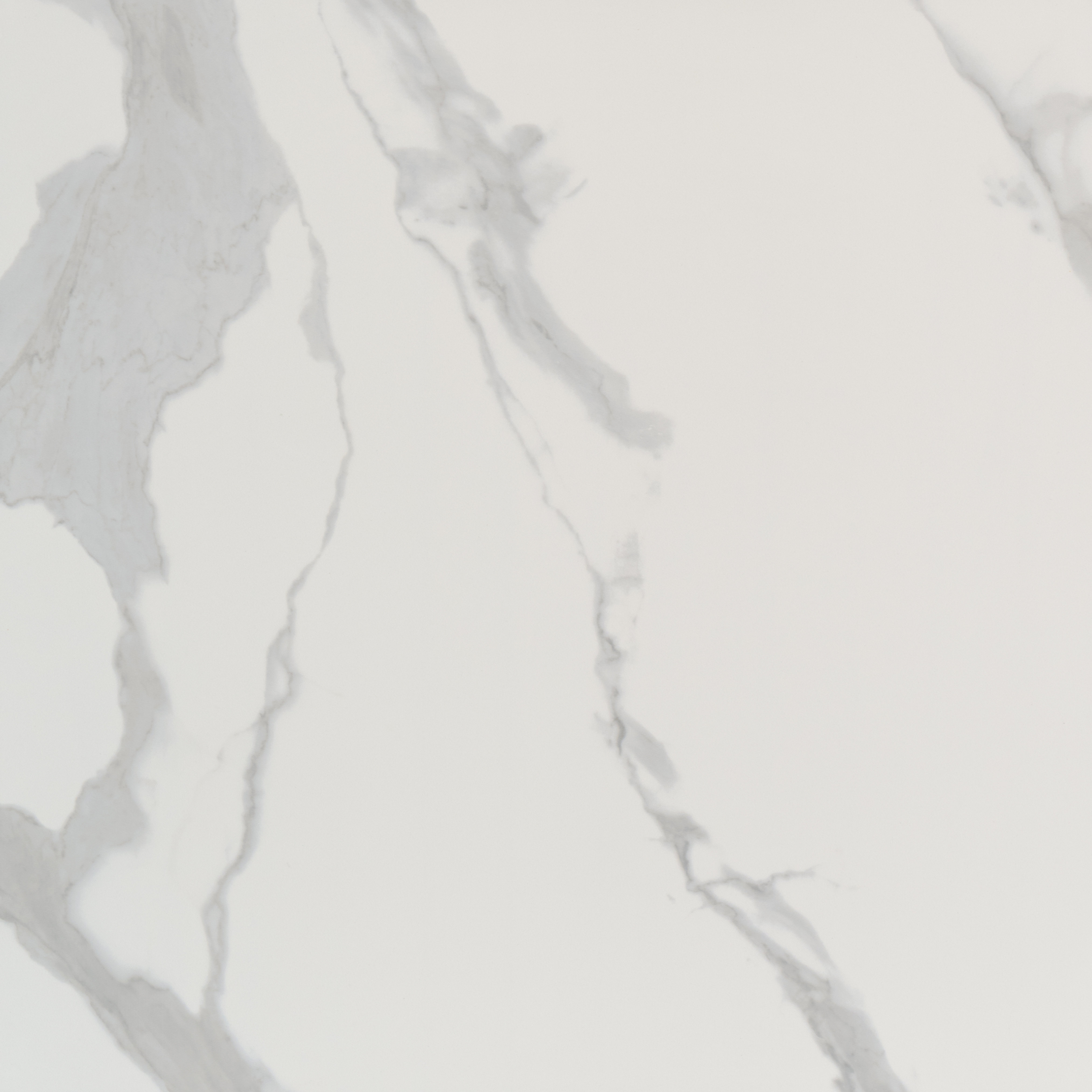 MSI 32" x 32" Porcelain Field Tile | Wayfair
