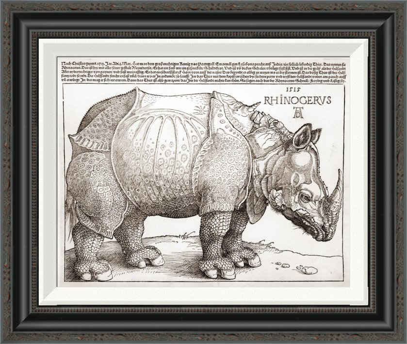 Global Gallery 'The Rhinoceros' by Albrecht Durer Framed Painting Print ...