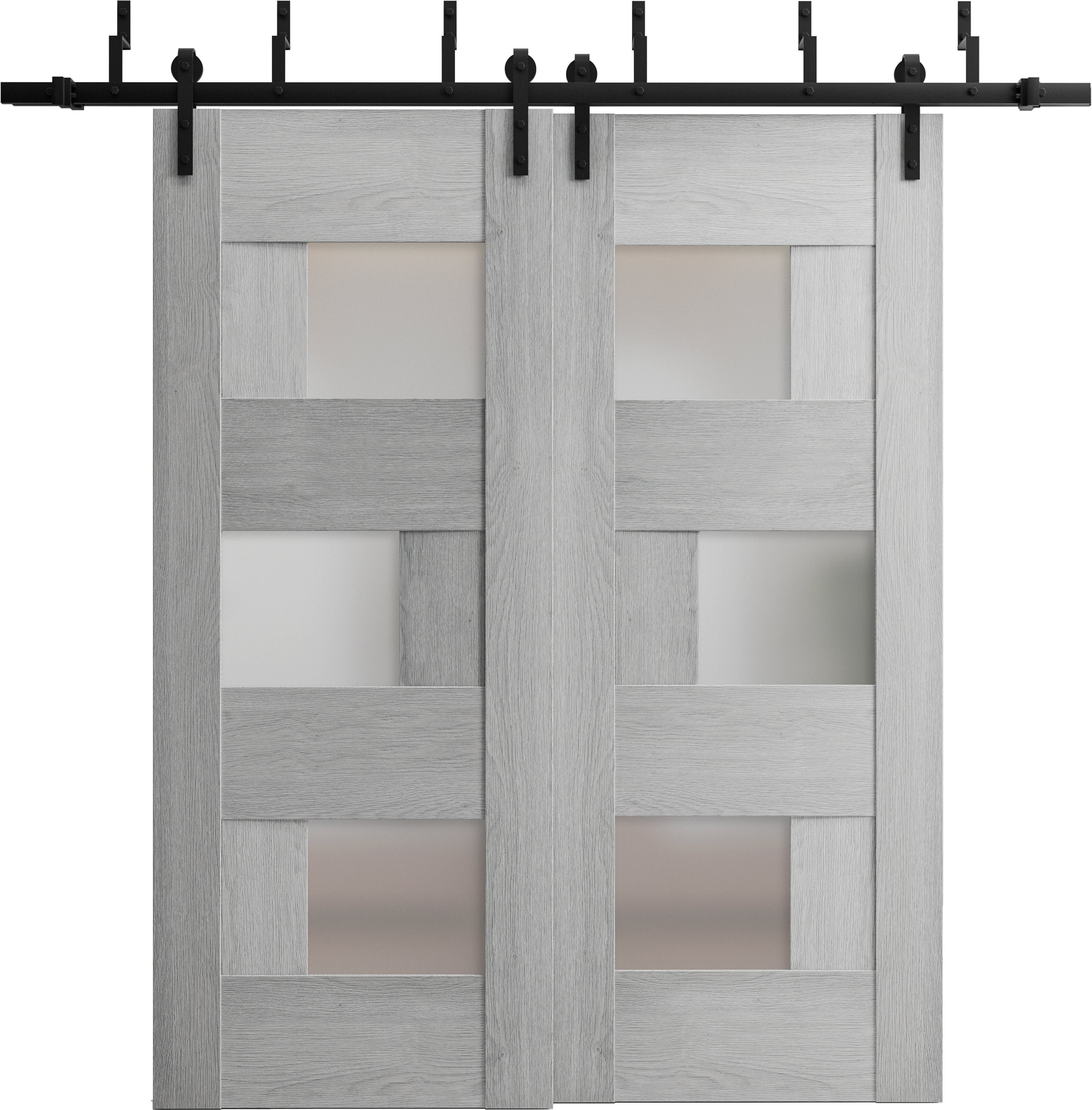 VDomDoors Sete Frosted Glass Paneled Wood Bypass Barn Doors | Wayfair