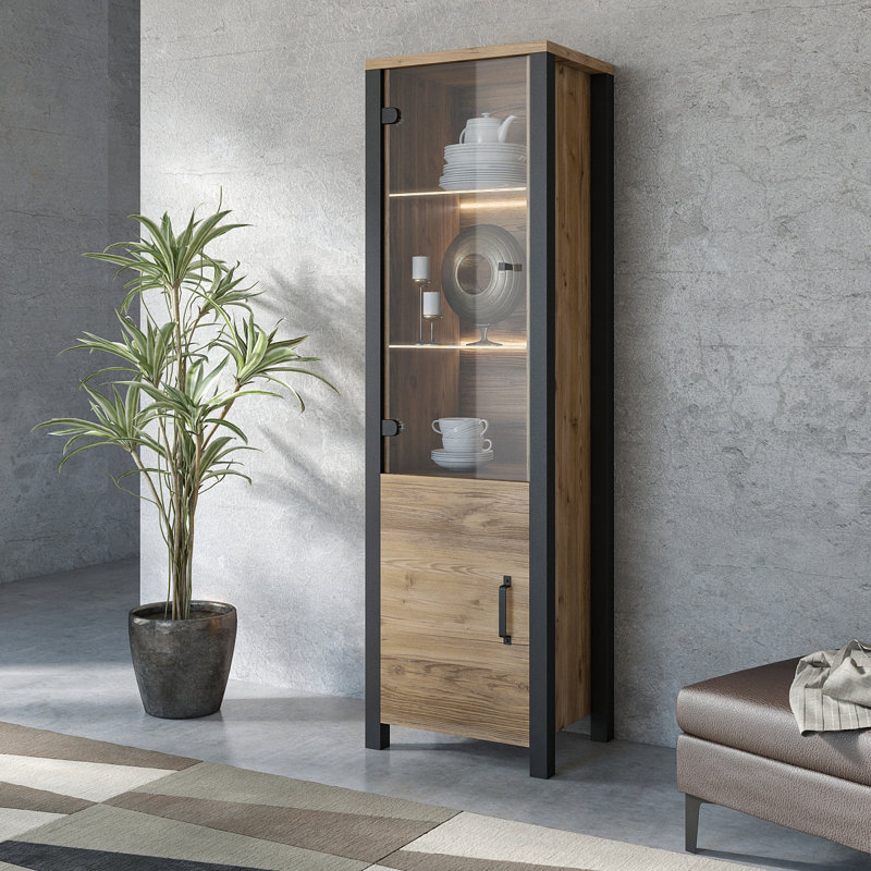 Williston Forge Monango Display Cabinet & Reviews | Wayfair.co.uk