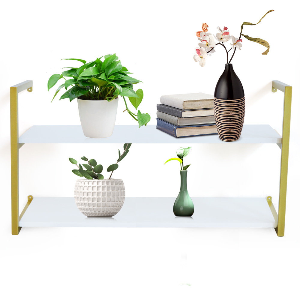 Everly Quinn 2 Tier Wall Mounted Wooden Floating Shelves Book Plant ...