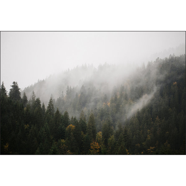 Alpen Home Weldon Textured Matte Paste the Wall Mural | Wayfair.co.uk