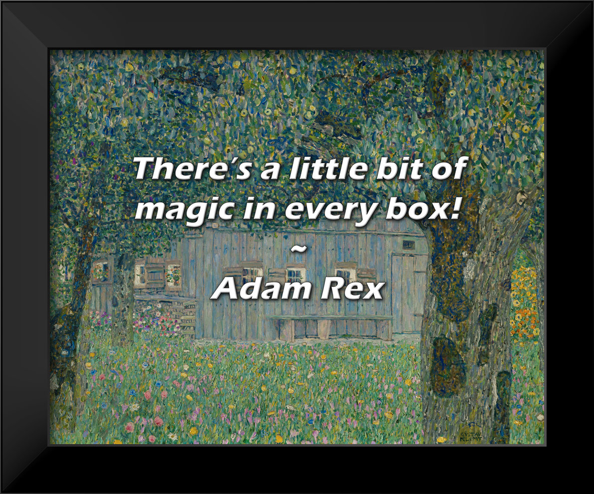 Trinx Adam Rex Quote: There’s a little bit of magic in every box ...
