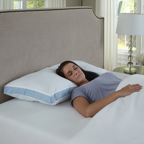 Alwyn Home Firm Density Pillow & Reviews | Wayfair