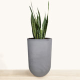 Ebern Designs Petar ECOBO19.7 inches Eco Friendly Round Pot Planter ...