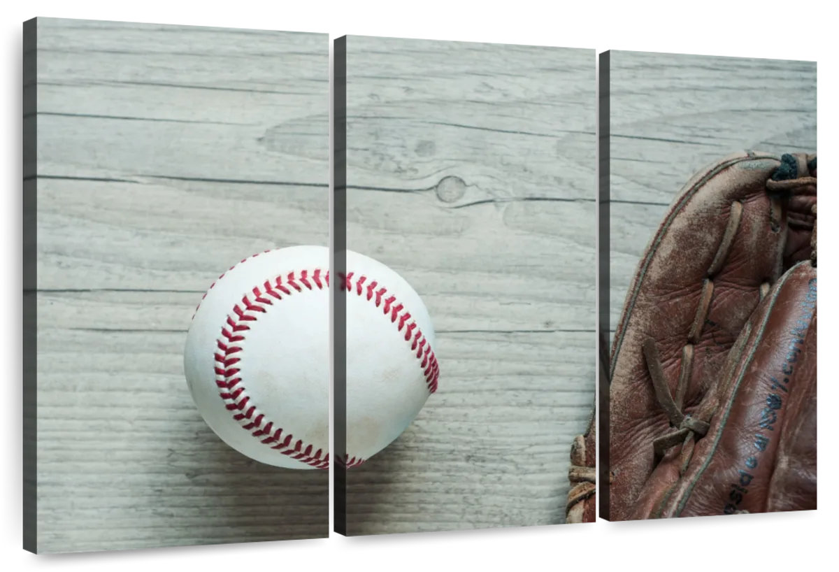 Ebern Designs Sireci Baseball Essentials | Wayfair