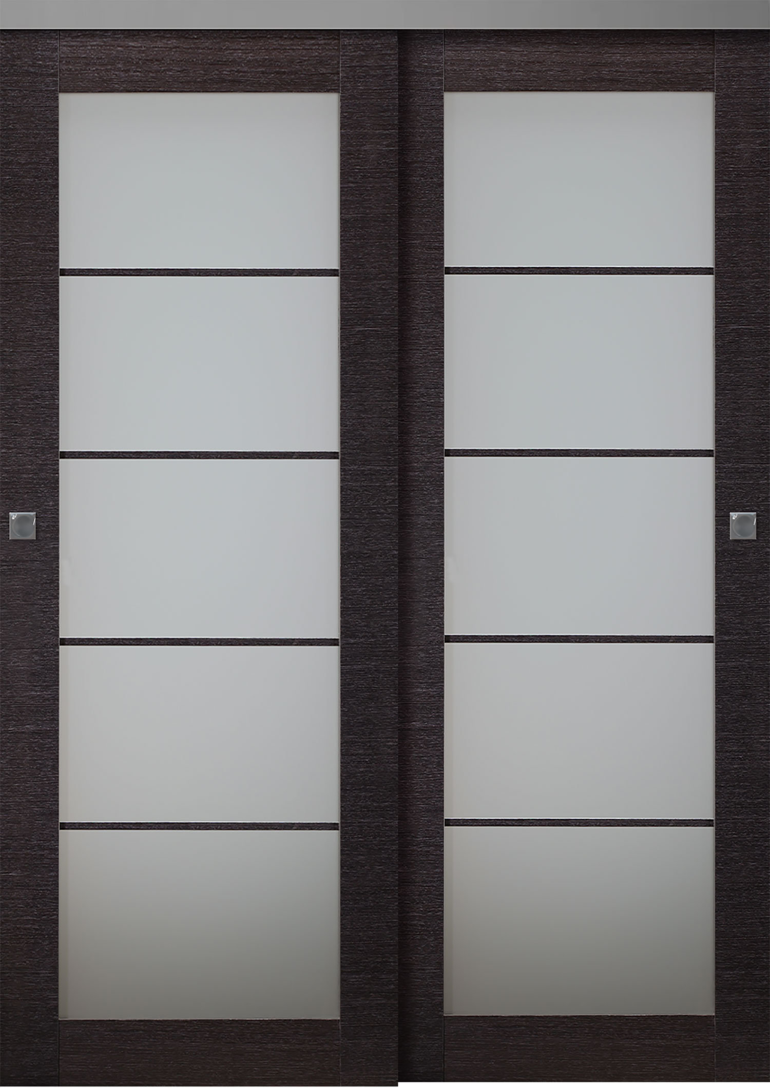 Belldinni Paneled Glass and Wood Sliding Closet Door | Wayfair