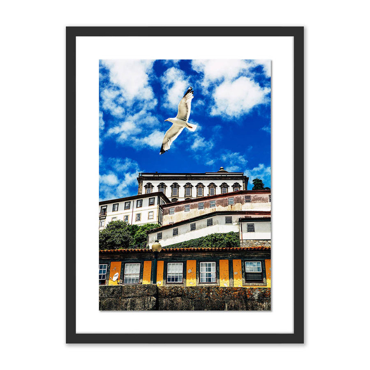 Four Hands Art Studio Seagull Colour By Erica Singleton - Wayfair Canada