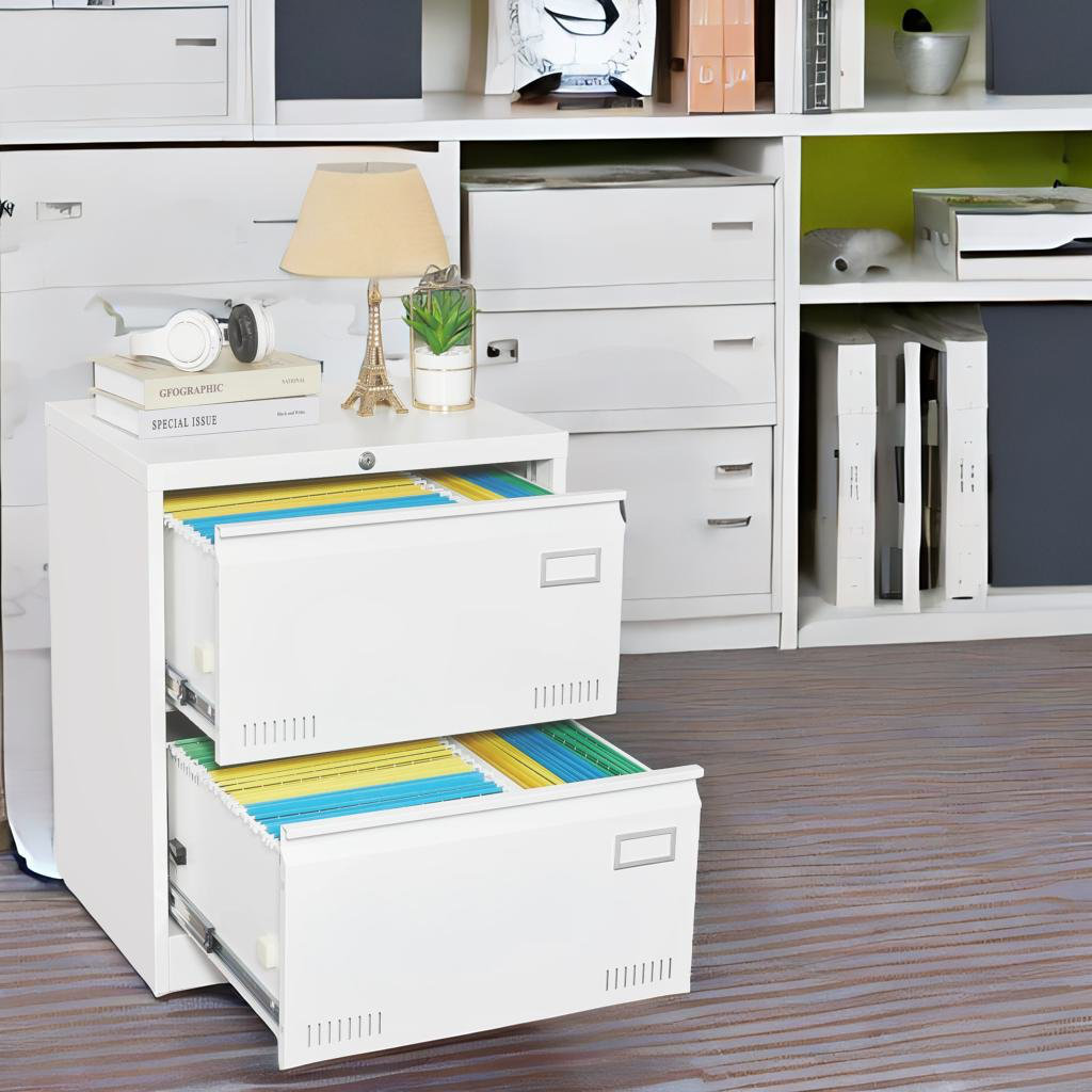 Latitude Run® Ennor 2-Drawer Vertical Filing Cabinet | Wayfair