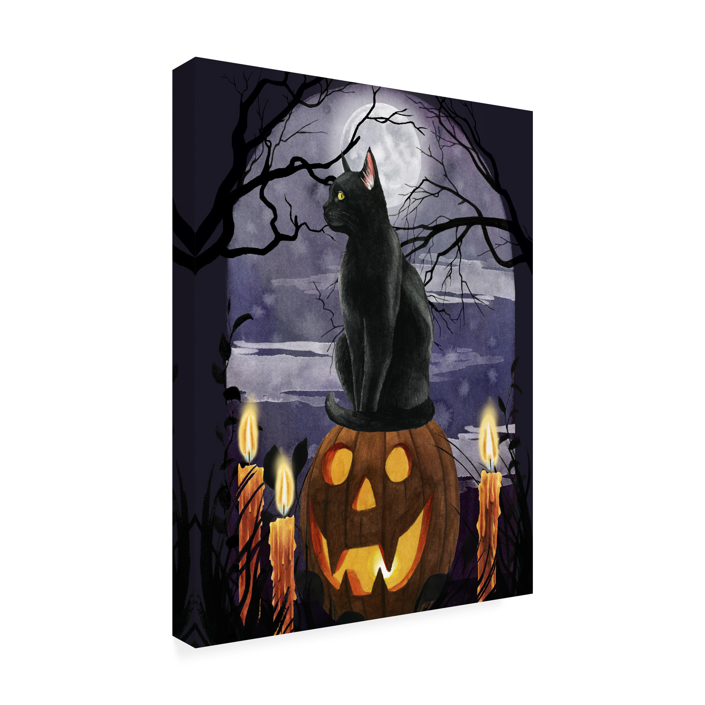 The Holiday Aisle® Midnight Magic II On Canvas by Grace Popp Print ...