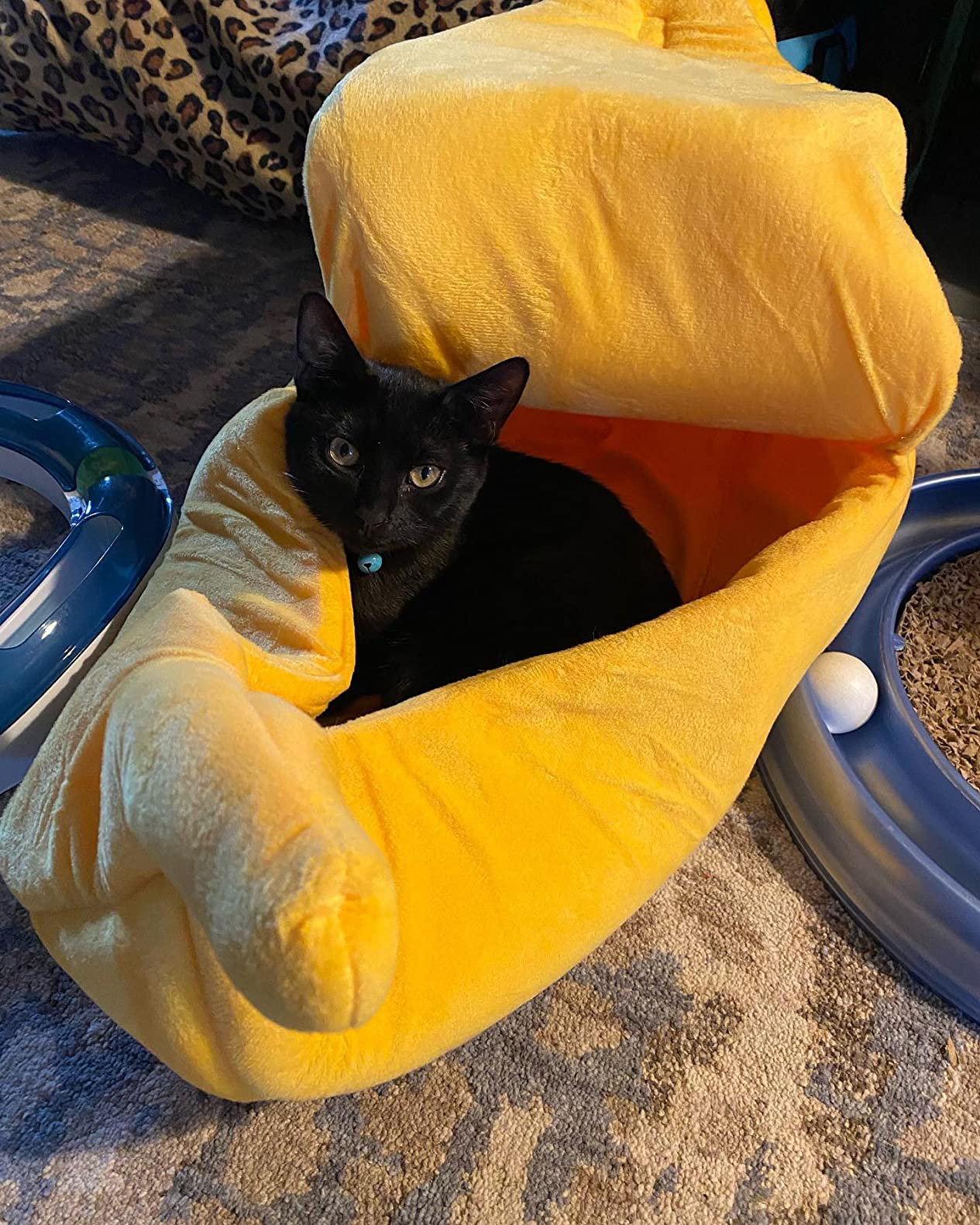 Tucker Murphy Pet™ Cute Banana Cat Bed House,Christmas Pet Bed Soft Cat ...