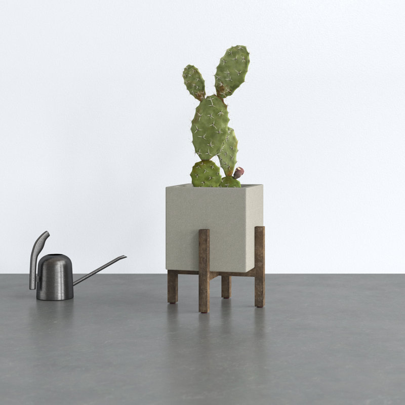 AllModern Habra 14" Wide Square Standing Pot & Reviews | Wayfair