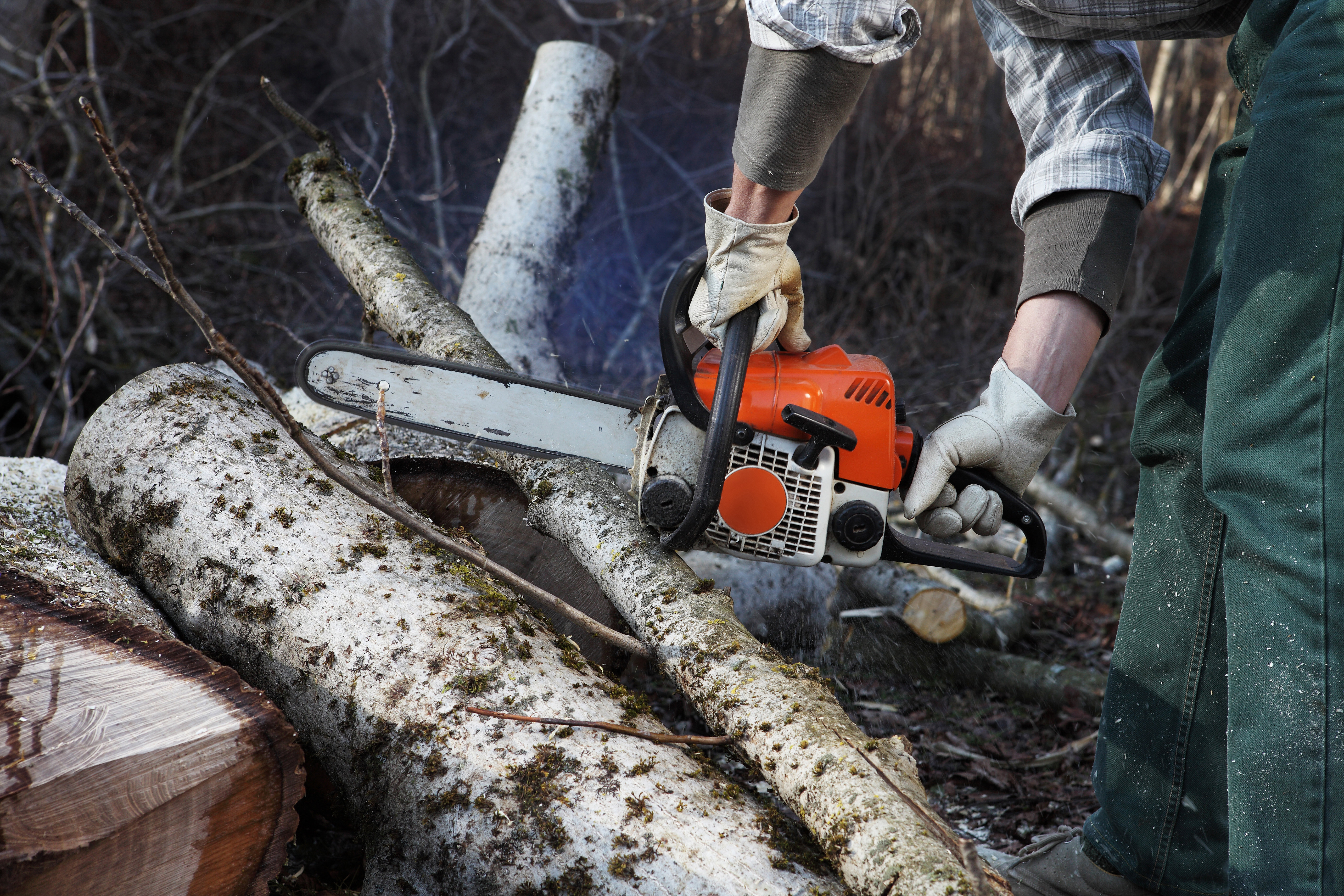 17 Stories Man Cutting Lumberjack by Visivasnc - Wrapped Canvas ...
