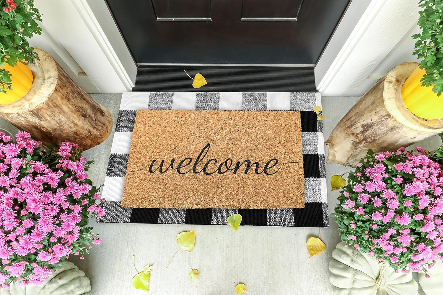 Gracie Oaks 2-Pack Front Door Mats For Outdoor Entrance – 30” X 18 ...