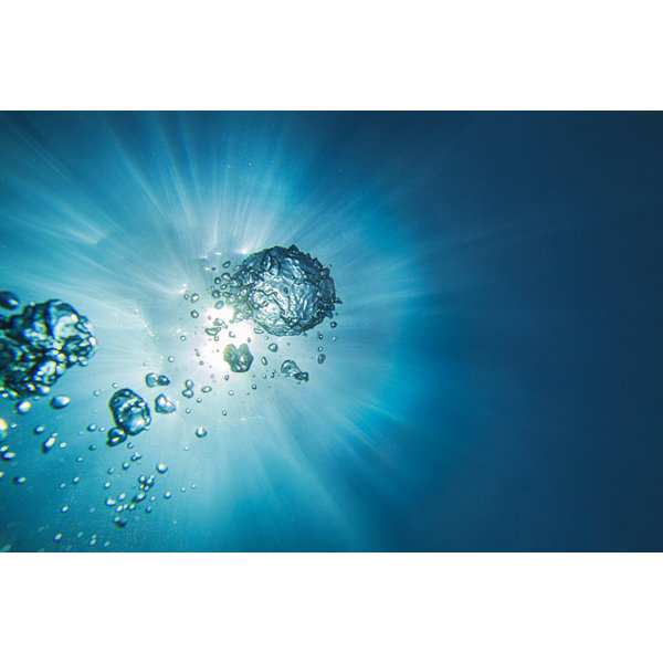 Ebern Designs Underwater Sea by Asensio - Wrapped Canvas Photograph ...