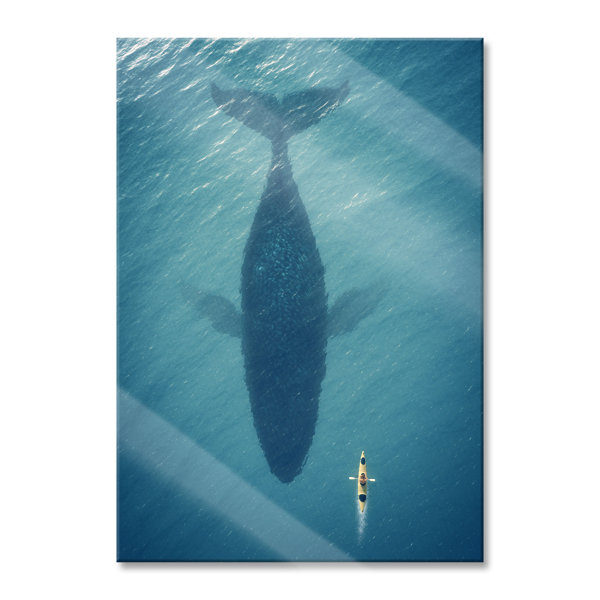 Longshore Tides Huge Whale Shadow - No Frame Print on Glass | Wayfair.co.uk