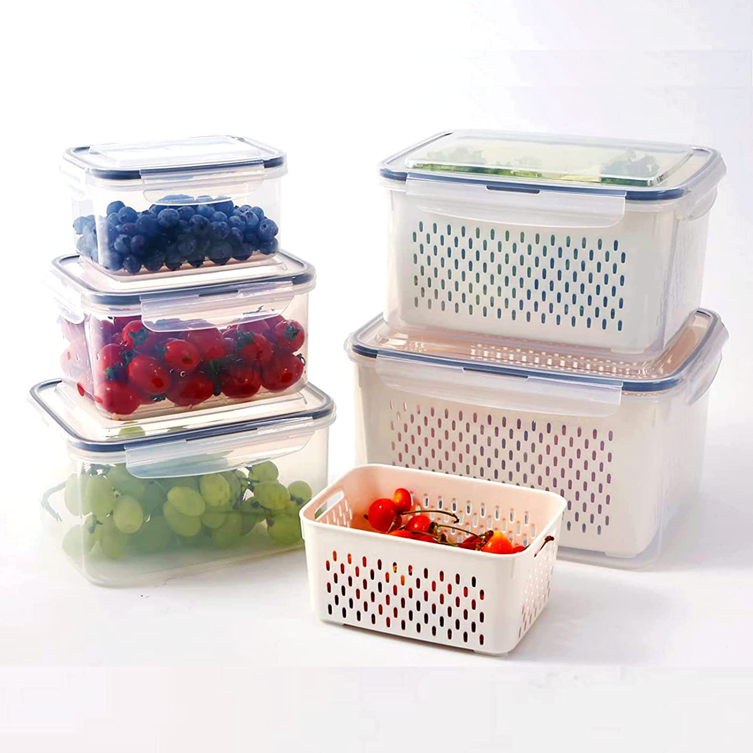 Prep & Savour Daelan Food Storage Container - Wayfair Canada
