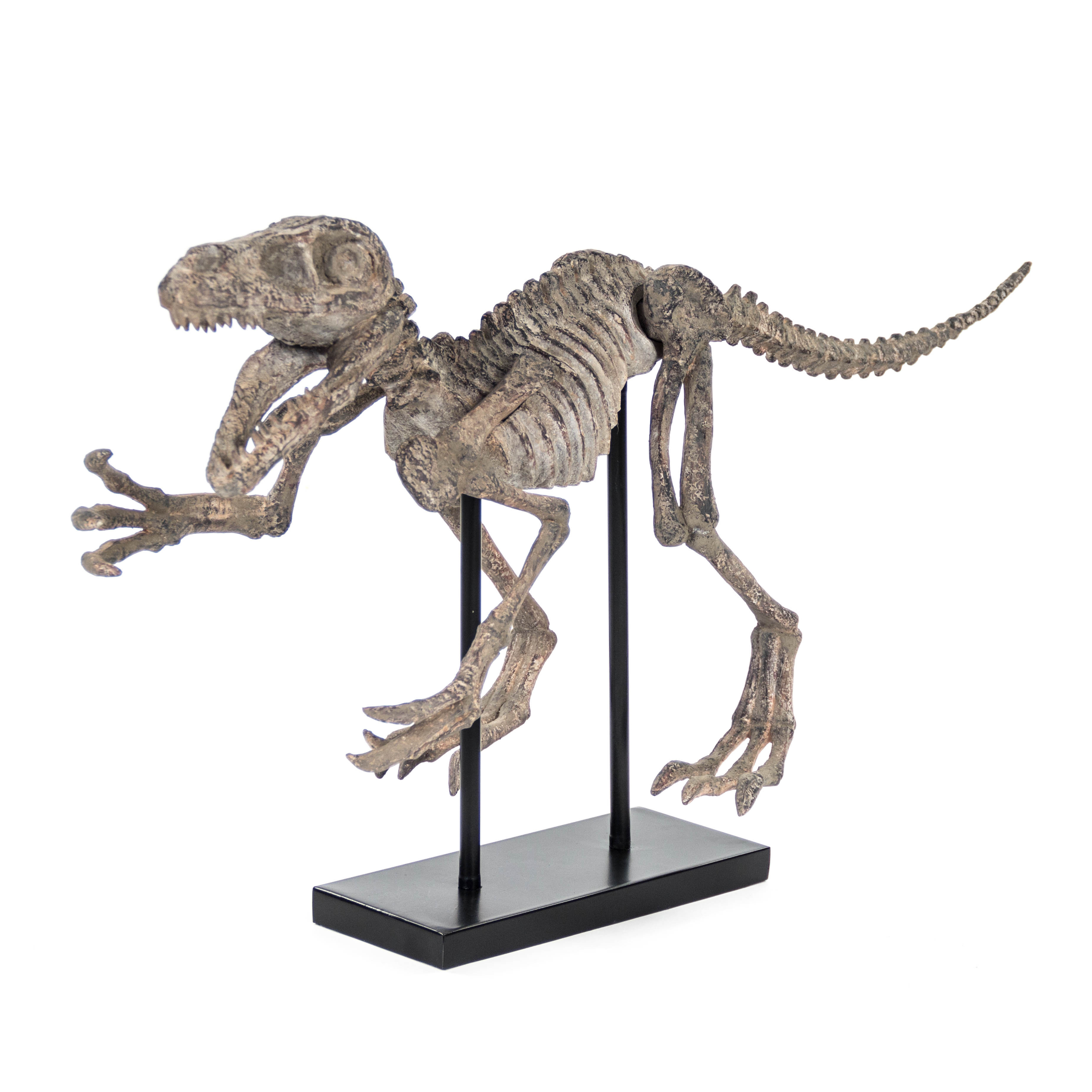 Zentique Dinosaur Skeleton Handmade Resin Landscape & Nature Wall Decor ...