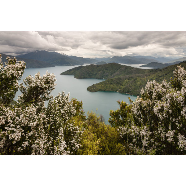 Alpen Home Manuka Trees Above Queen Charlotte Sound - Wrapped Canvas ...