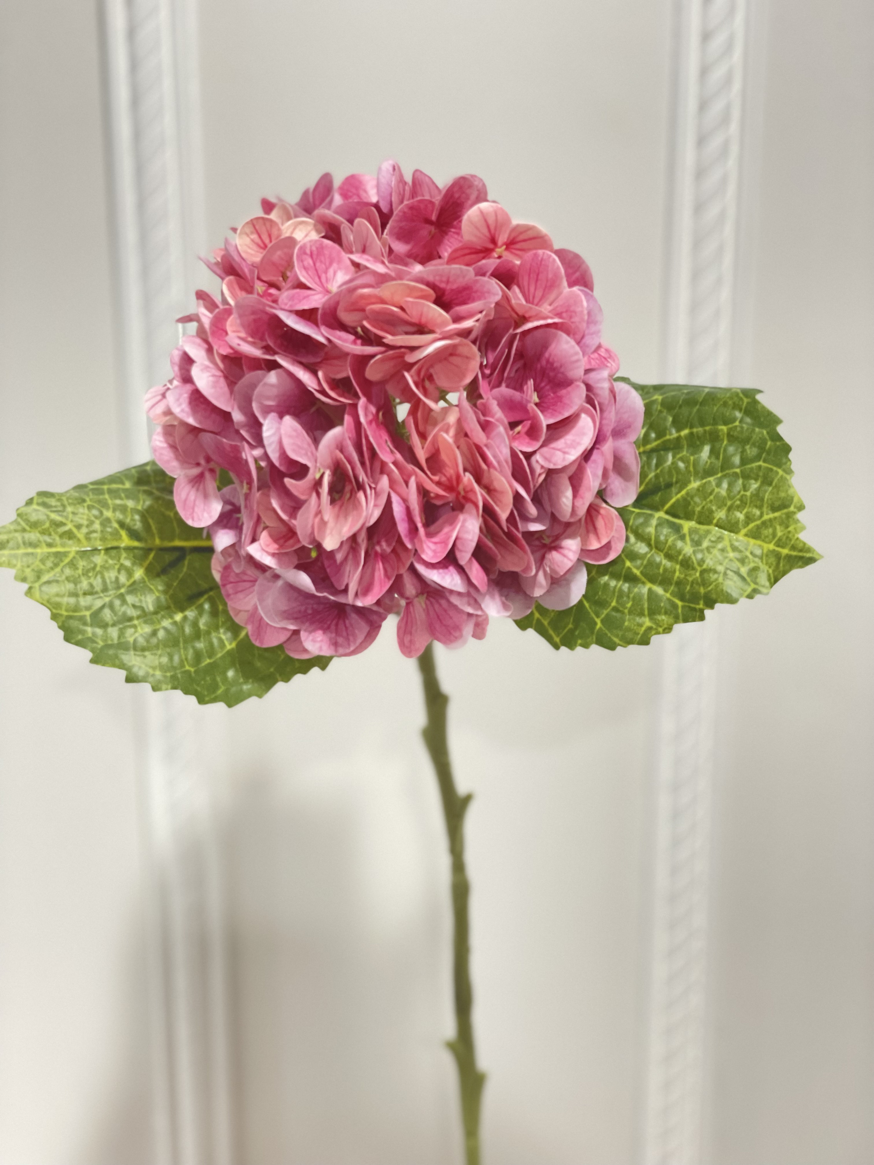 Primrue Hydrangea Stem | Wayfair