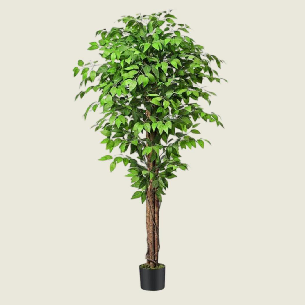 Primrue Artificial Ficus Tree for Office Home, Living Room, Patio | Wayfair