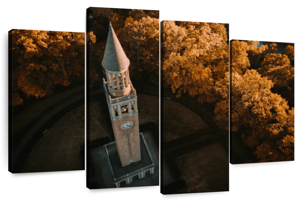 Ebern Designs Lilie Morehead-Patterson Bell Tower | Wayfair
