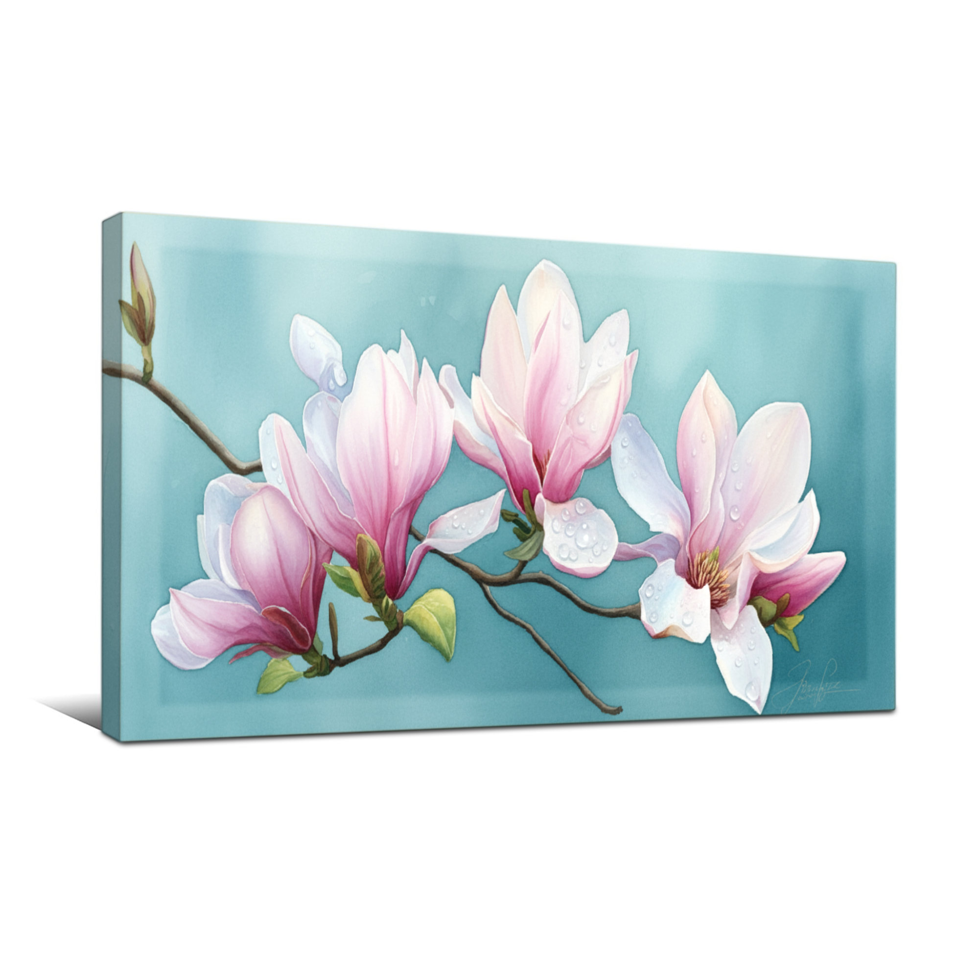Astoria Grand Plants &Flowers Pink Magnolia Flowers On Blue Background ...