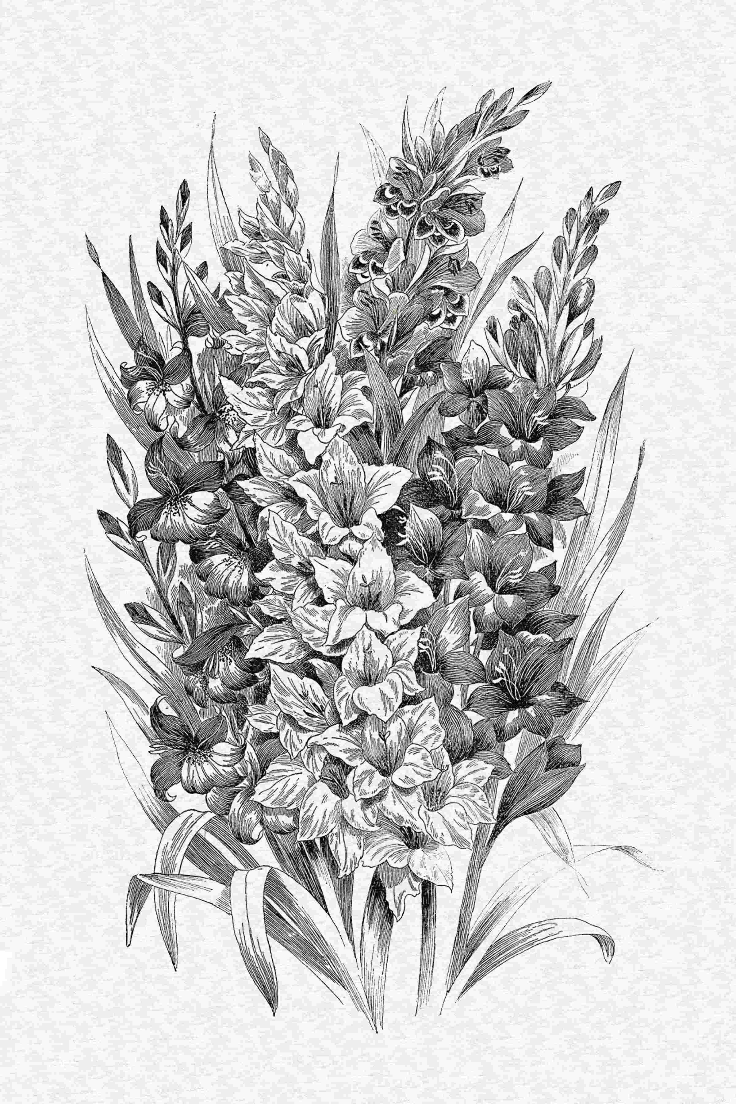 Winston Porter Vintage Black And White Tall Drawing | Wayfair