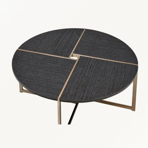Mercer41 Samara Black & Champagne Coffee Table | Wayfair