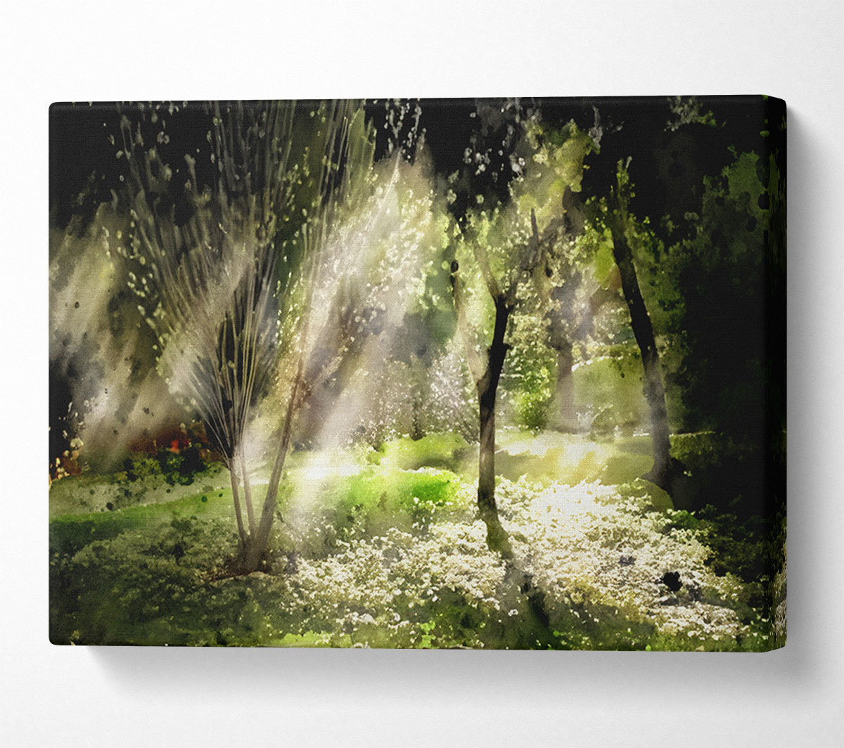 Alpen Home Mid Day Sun Through The Trees - Print | Wayfair.co.uk