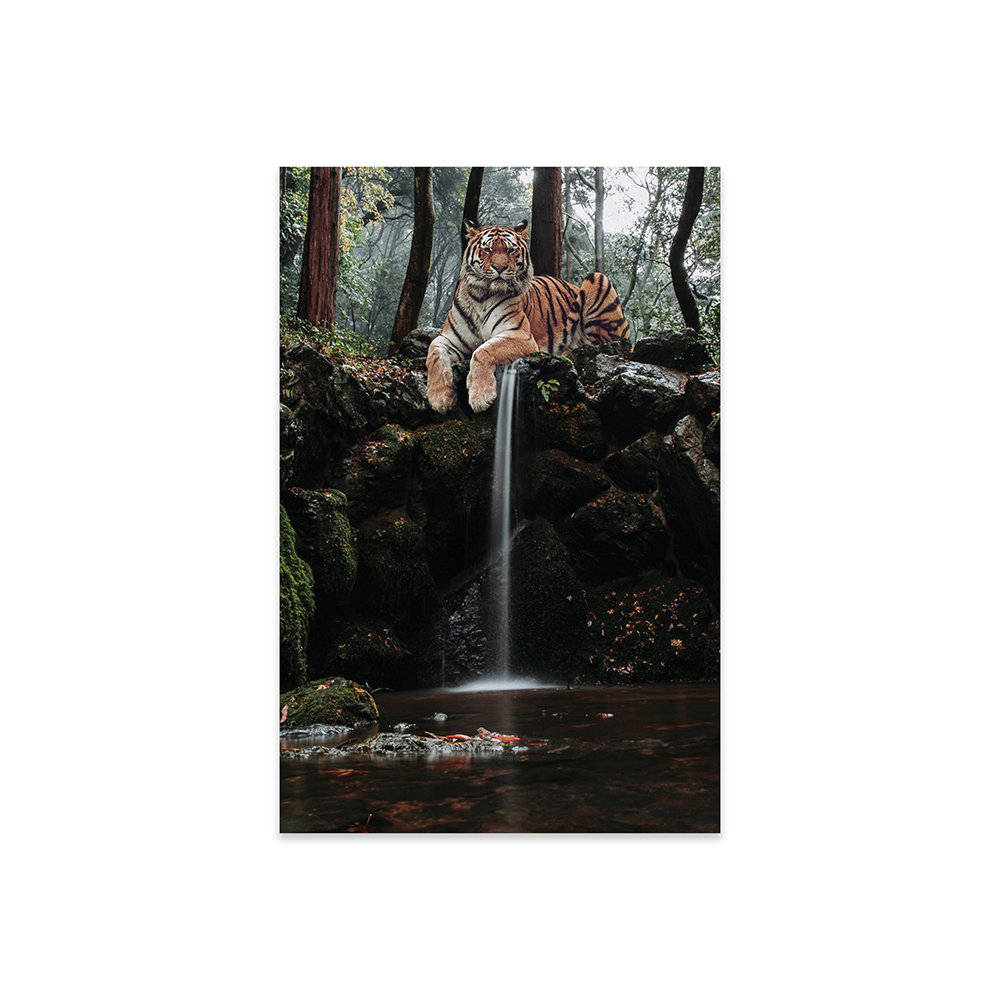 Millwood Pines Tiger Waterfall With Robin In River On Plastic / Acrylic ...